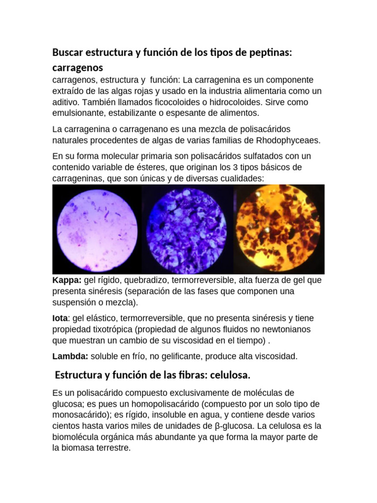 Buscar Estructura y Función de Los Tipos de Peptinas | PDF | Celulosa ...