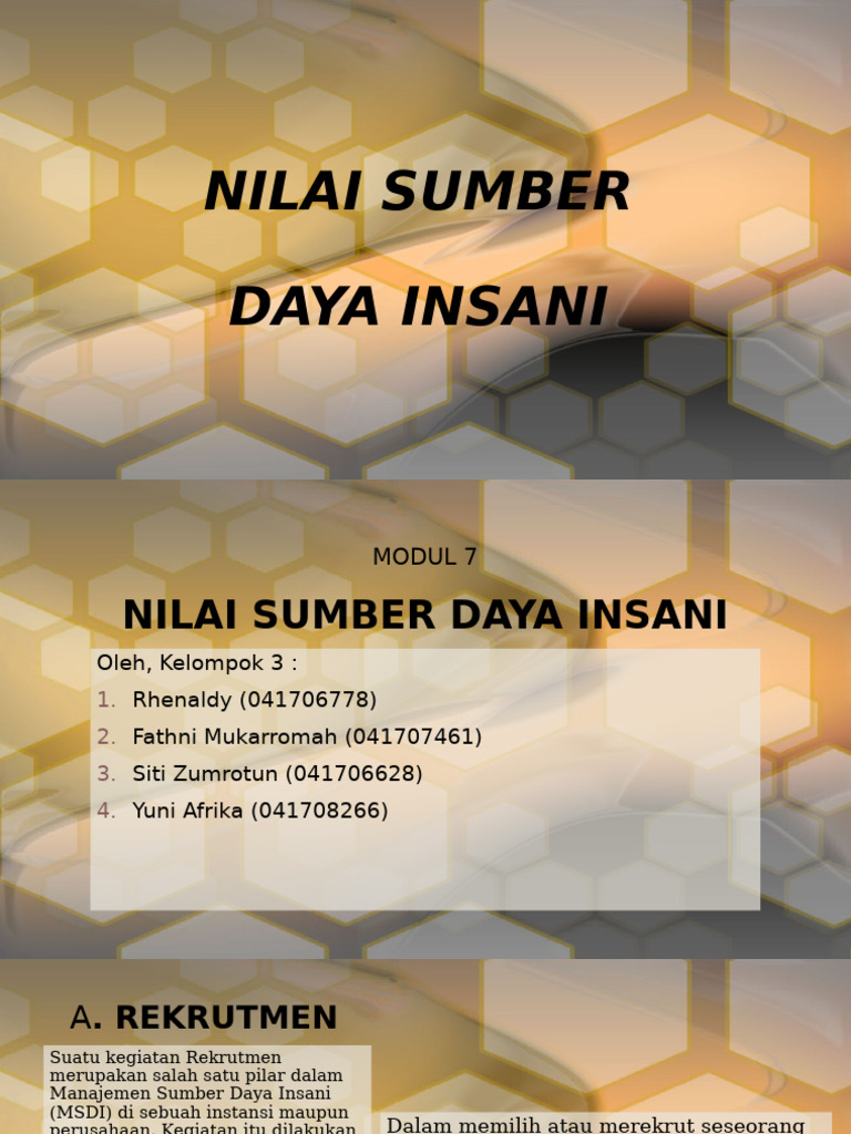 Nilai Sumber Daya Insani | PDF