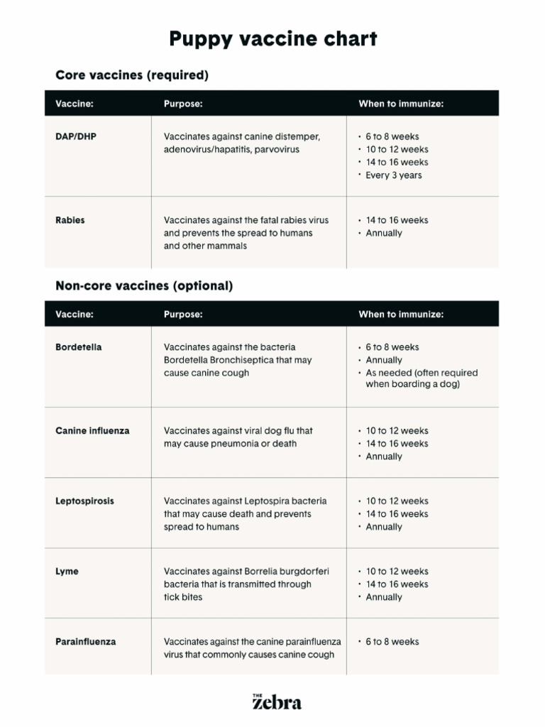 Puppy Vaccine Chart | PDF