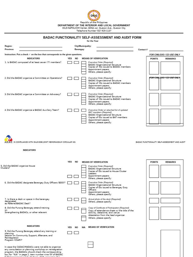 3-Badac Self-Assessment and Audit Form | PDF | Audit