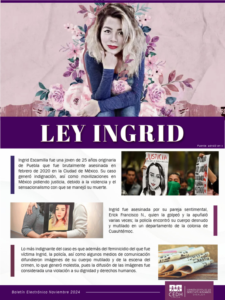 Ley Ingrid | PDF | Justicia | Crimen y violencia