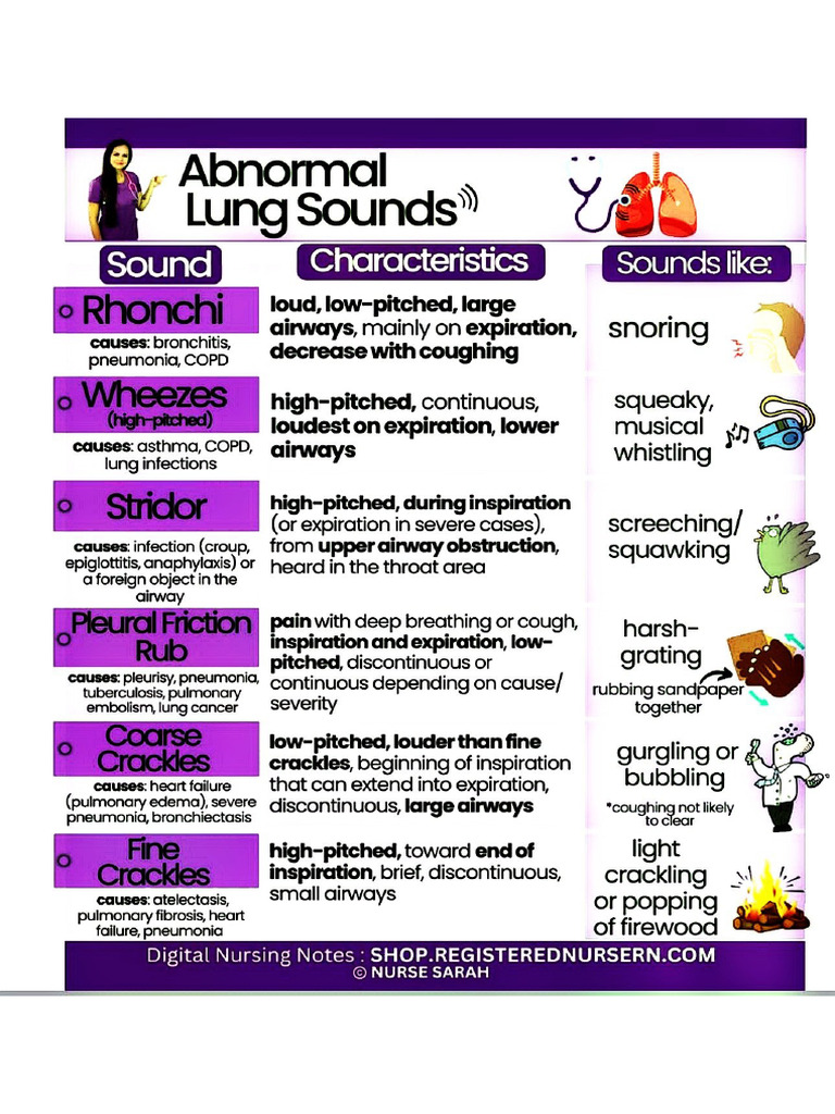 Abnormal Lung Sounds | PDF