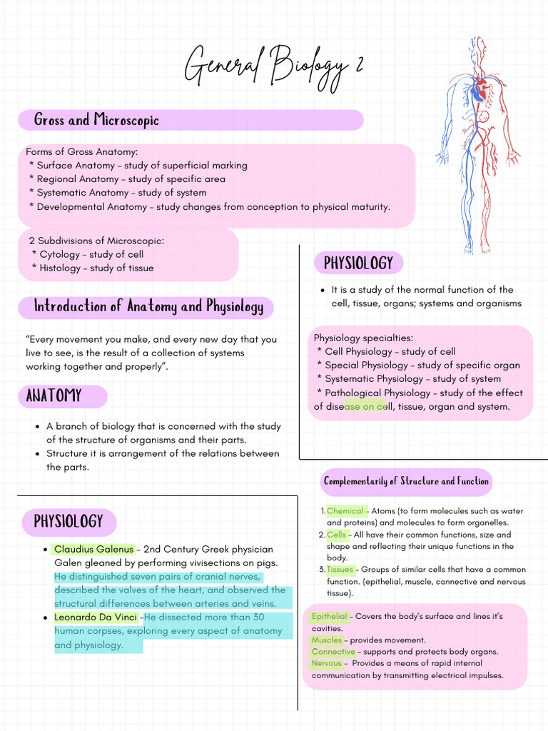 Reporter File - 20240822 - 023449 - 0000 | PDF | Skin | Integumentary ...