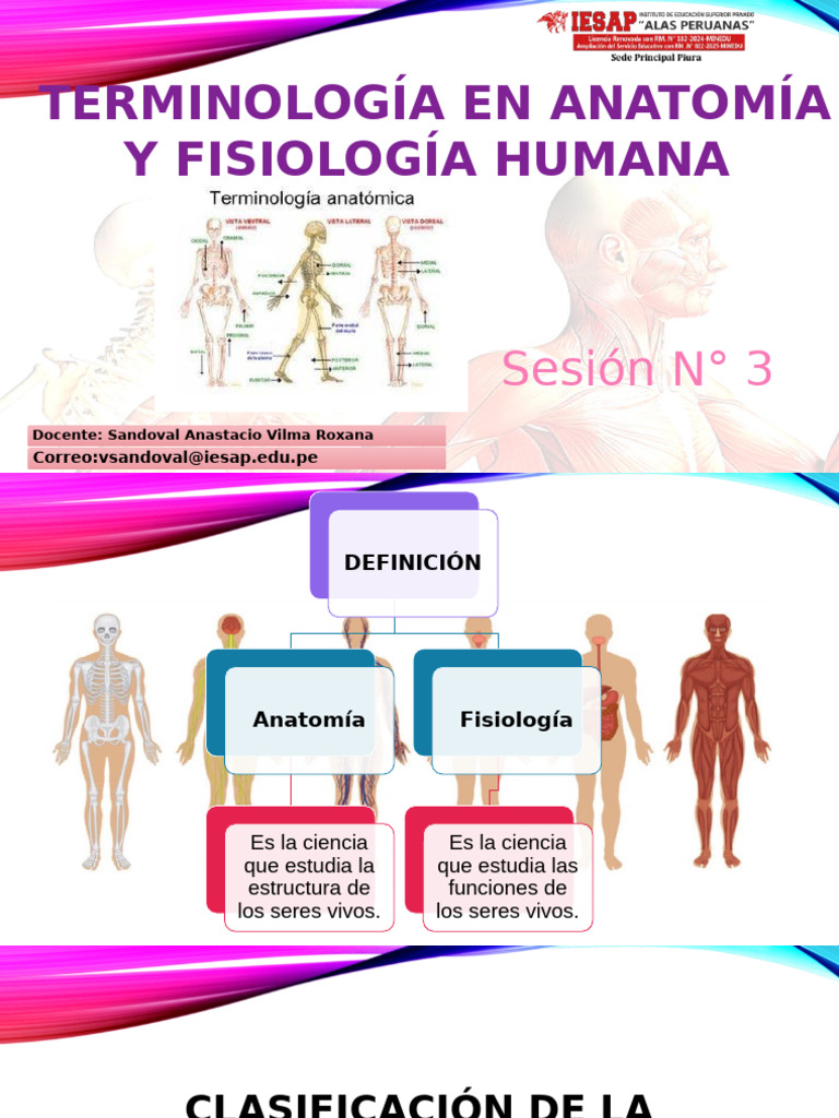 Terminología en Anatomía y Fisiología | PDF | Términos anatómicos de ...