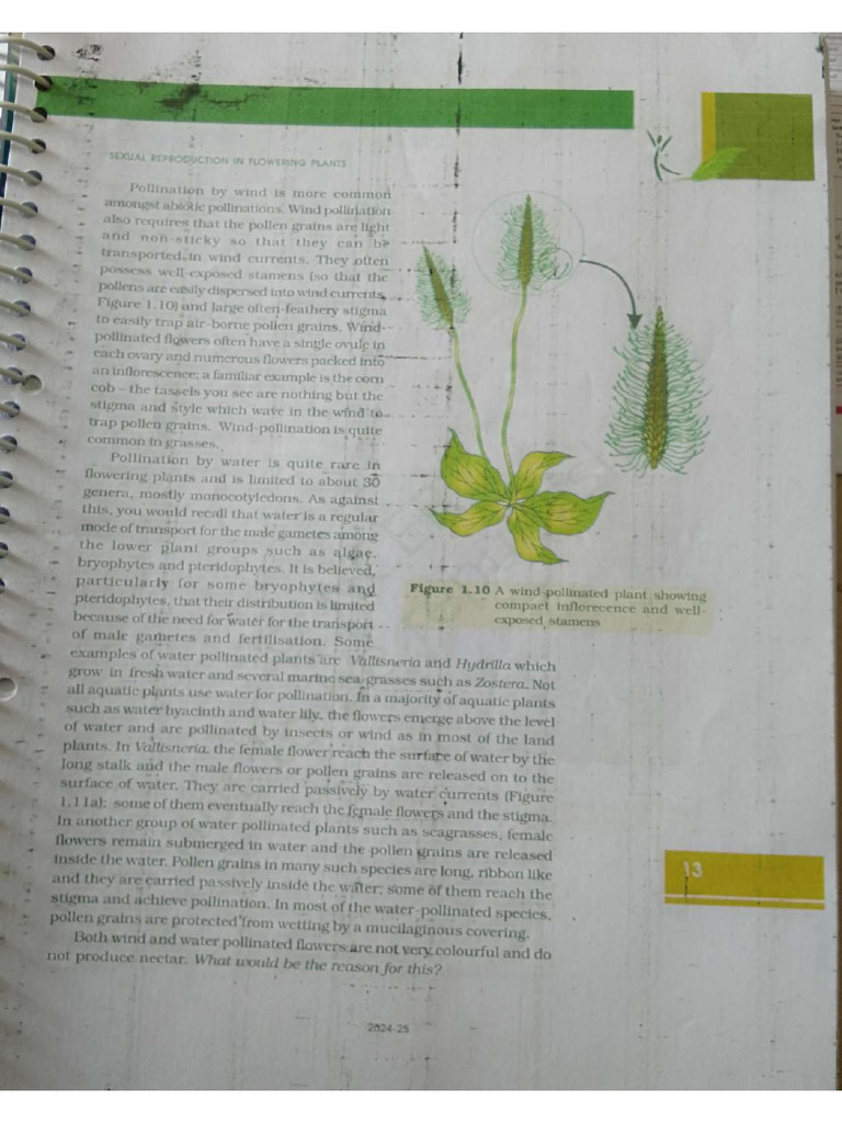 Botany - 15 | PDF