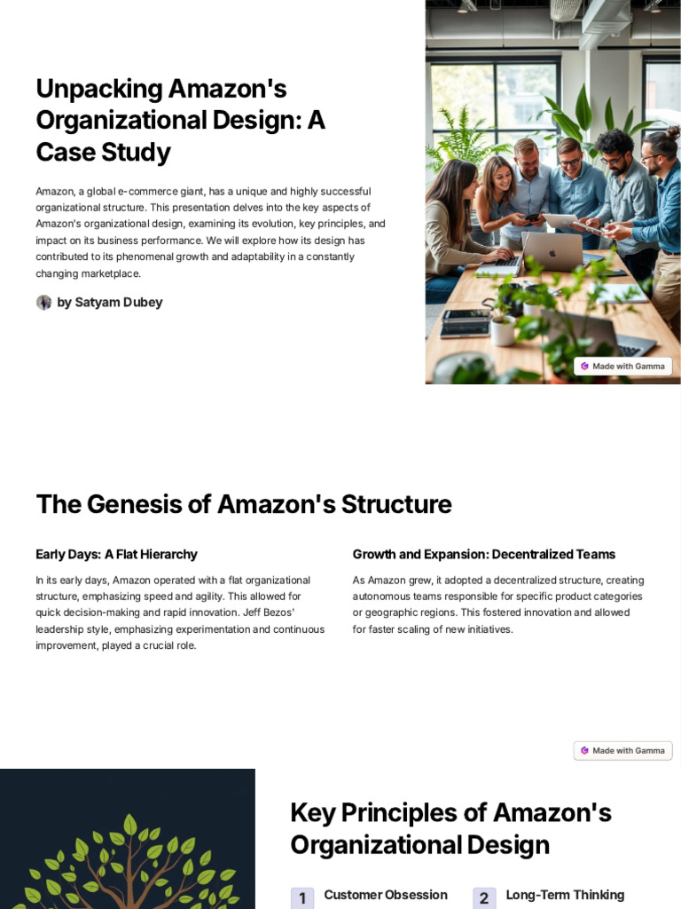 Unpacking Amazons Organizational Design A Case Study | PDF | Innovation ...