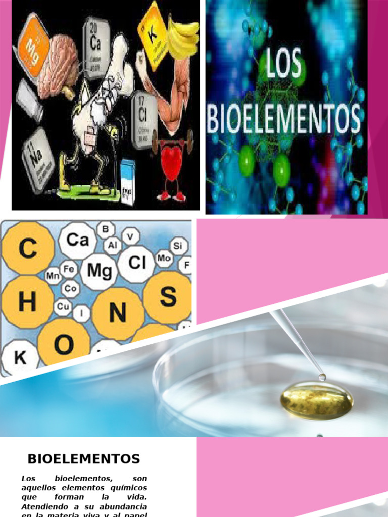 LOS BIOELEMENTOS | PDF | Enlace químico | Compuestos orgánicos