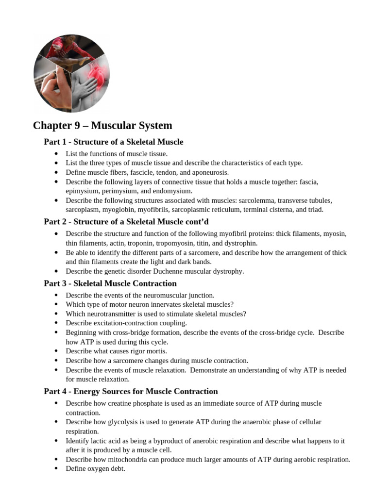 Module 4 Learning Objectives | PDF | Synapse | Chemical Synapse