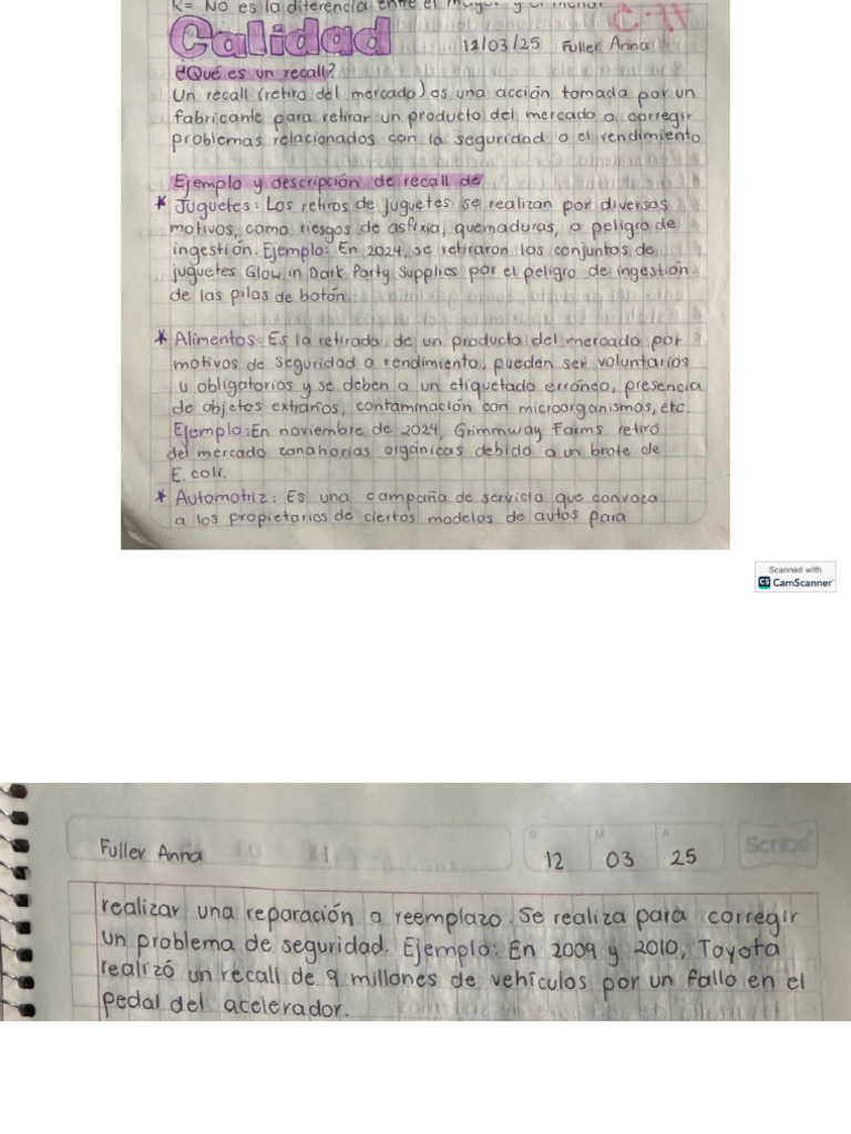 Fuller Anna Recall | PDF