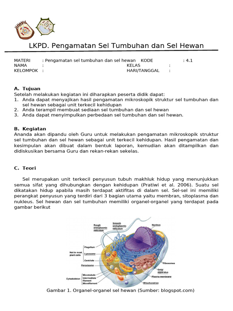 LKPD 4.1 Pengamatan Sel Tumbuhan Dan Hewan | PDF