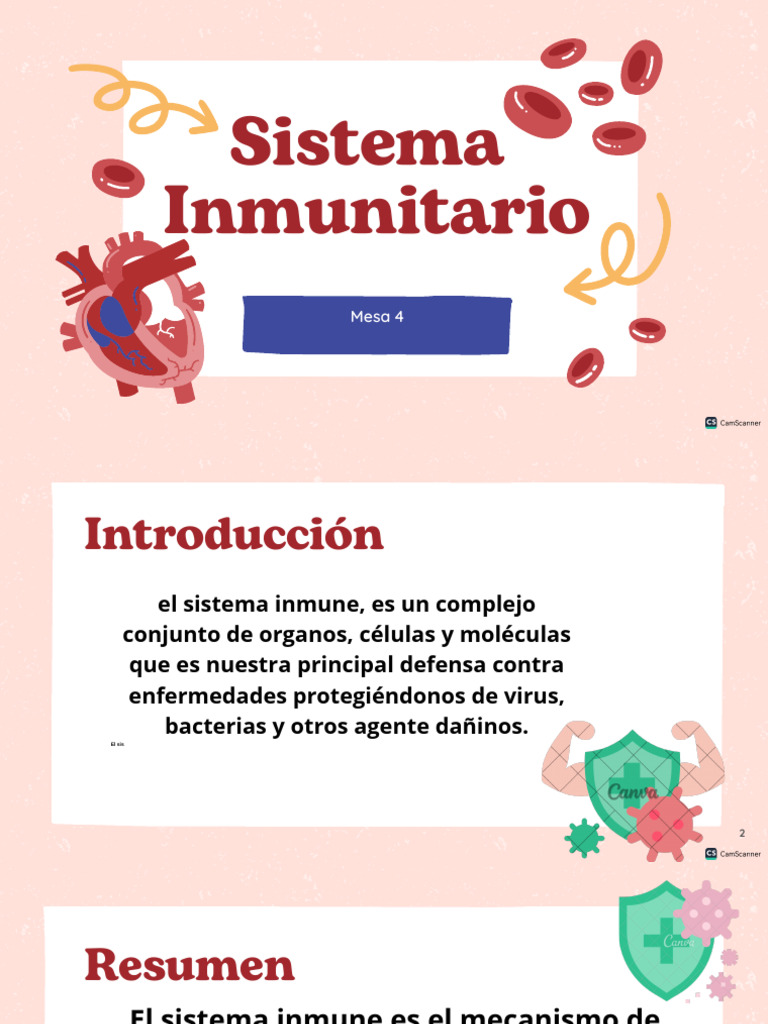 Sistema Inmunitario | PDF | Sistema inmune | Sistema inmune innato