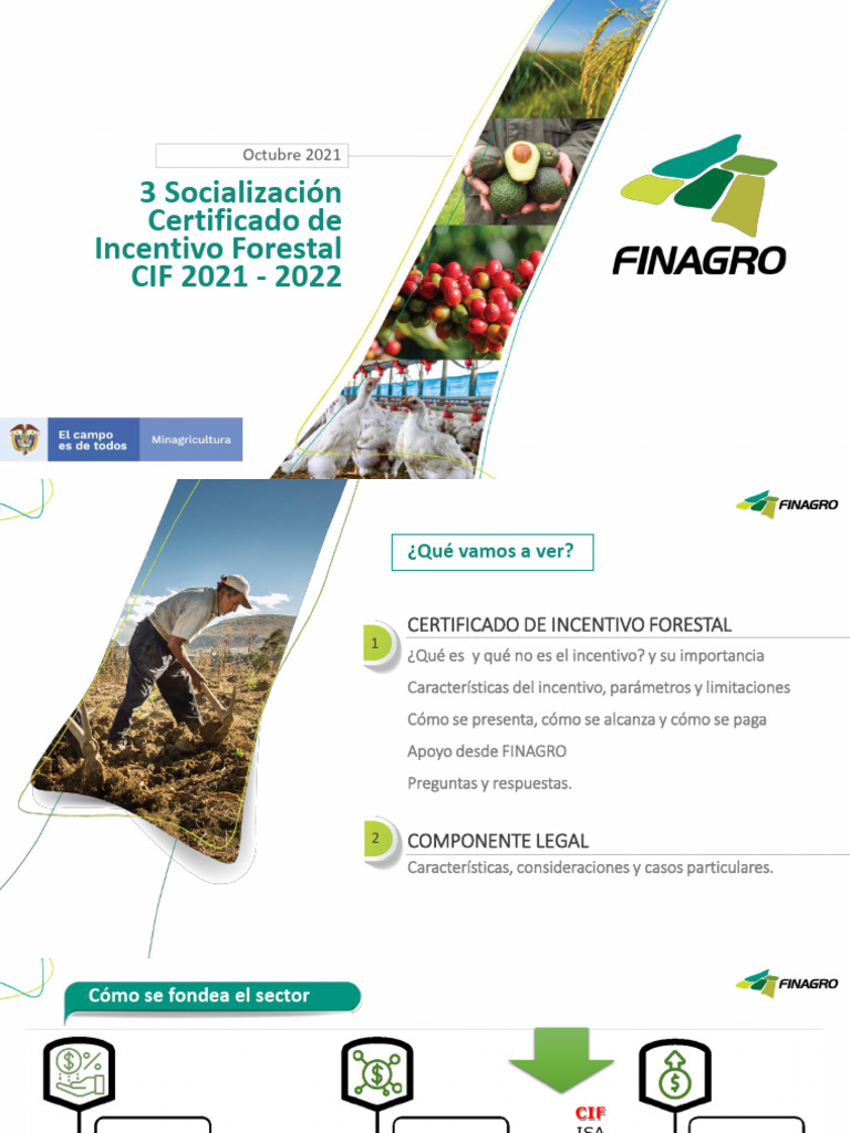 Charla 1 - General | PDF | Los bosques | Economias