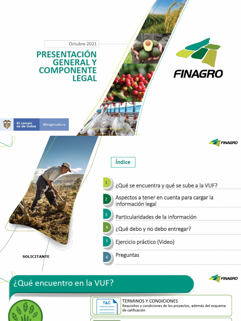 Carga de Información Legal en VUF 2021 | PDF | Los bosques