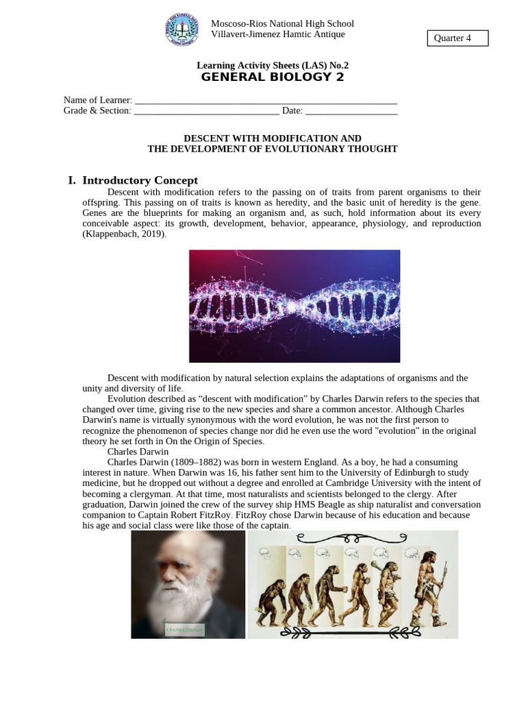 LAS - General-Biology-Descent-With-Modification 2 | PDF | Evolution ...