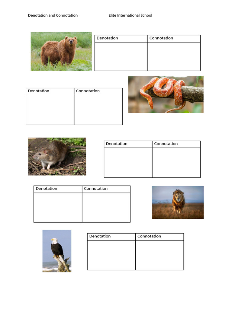 Connotation - Denotation Worksheet | PDF