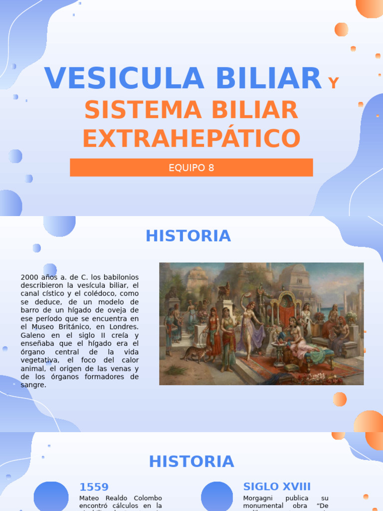 Anatomía y Función de la Vesícula Biliar | PDF | Bilis | Vesícula biliar