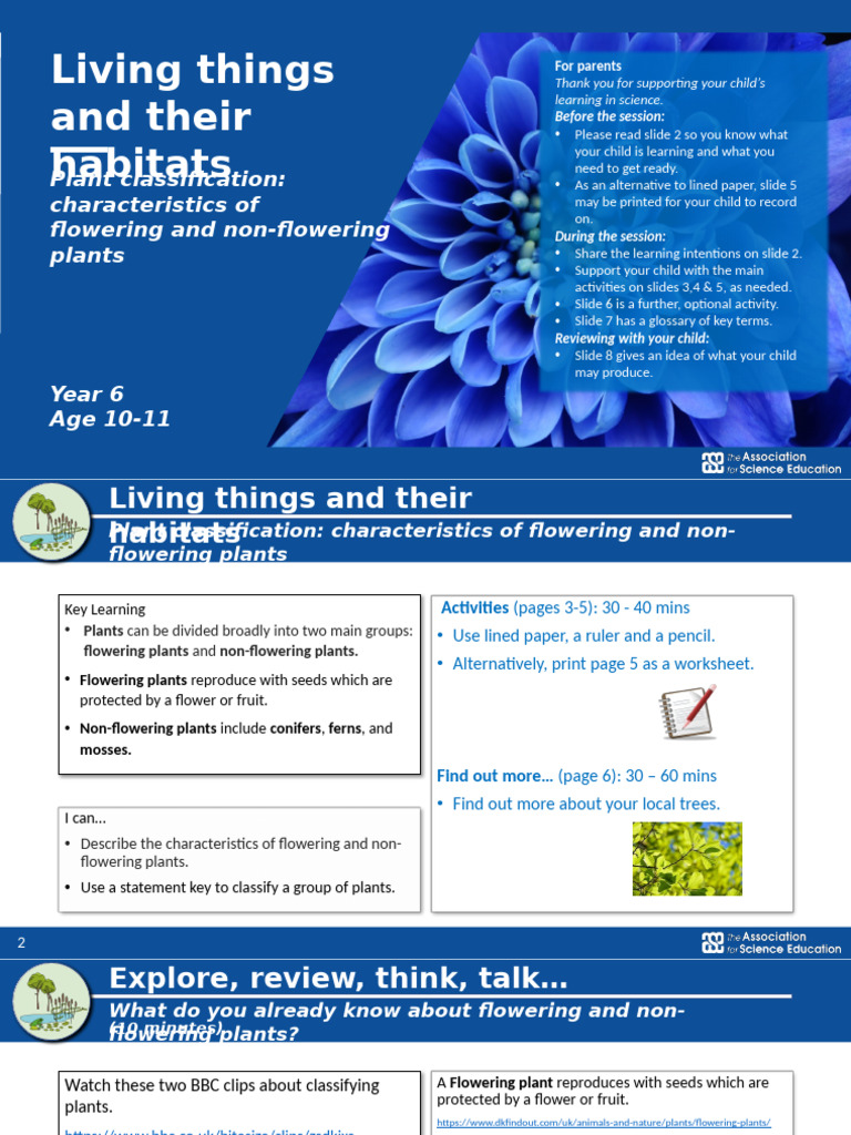 Year 6 Lesson 6 Plant Classification 1 | PDF | Plants | Flowers