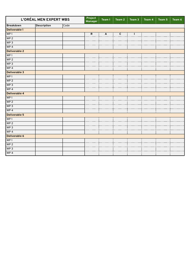 (PM) Work Breakdown Structure - RACI | PDF