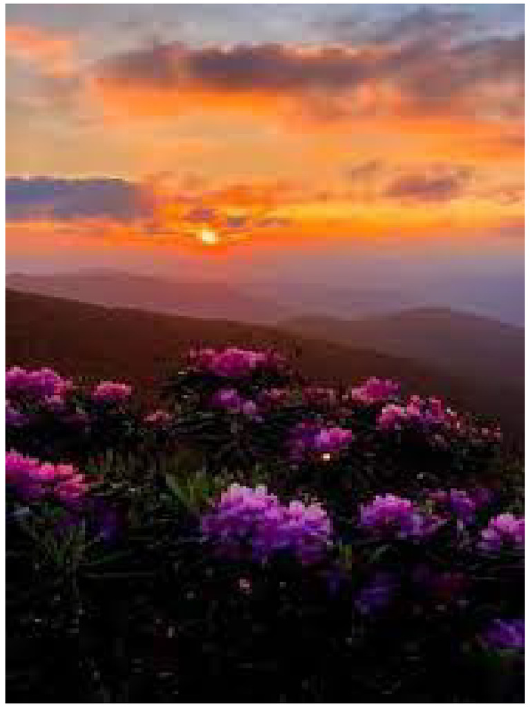 Dawn Time | PDF