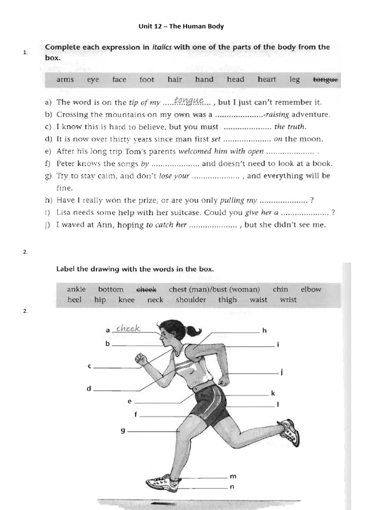 Unit 12 - Lesson 1 - Homework | PDF