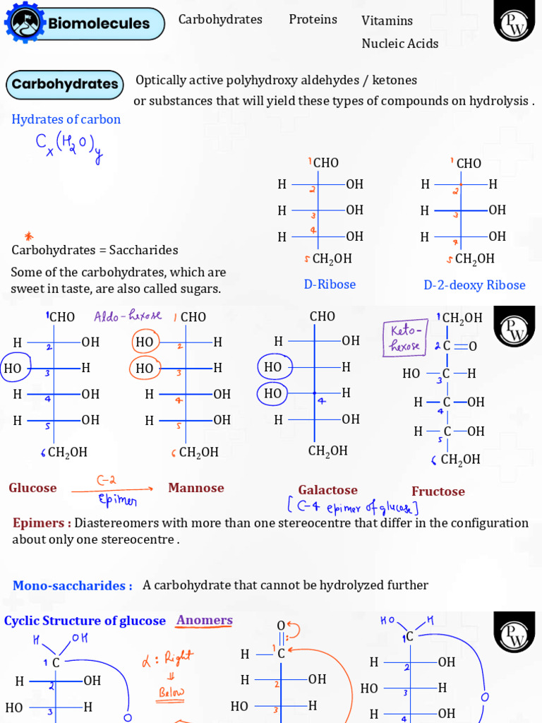 Biomolecules - Class Notes (One Shot) - Manzil JEE 2024 | PDF ...