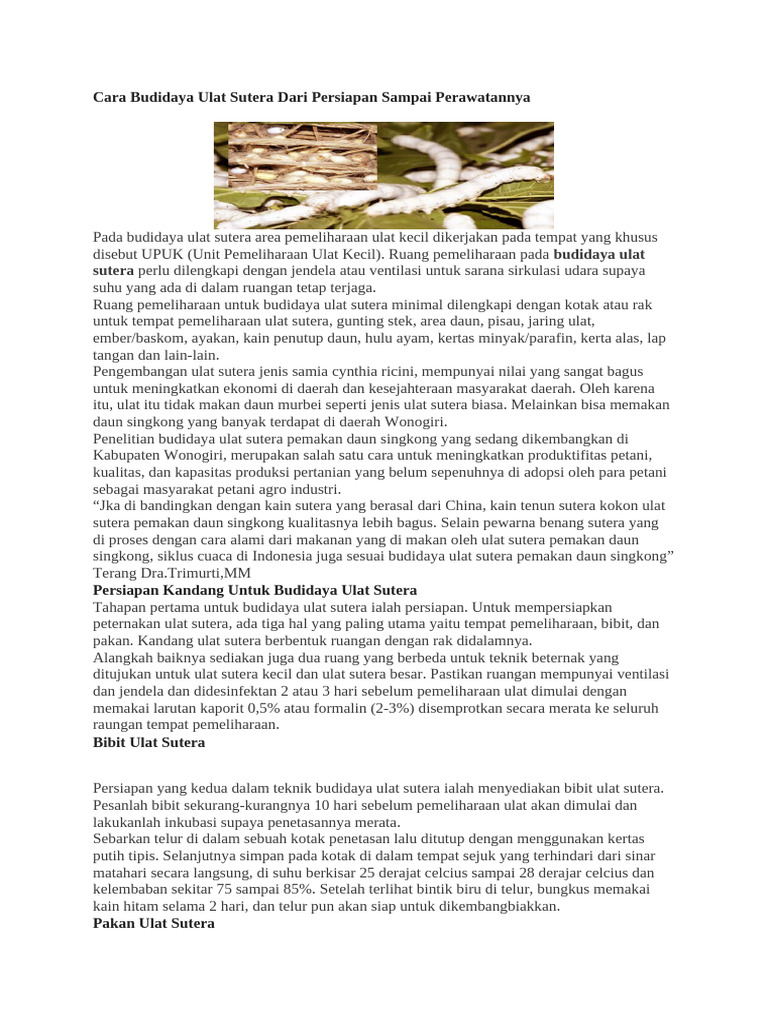 Cara Budidaya Ulat Sutera Dari Persiapan Sampai Perawatannya | PDF