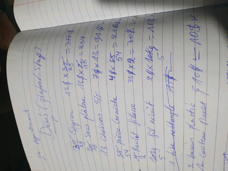 PDF_Phoenix_20241113_090132 | PDF