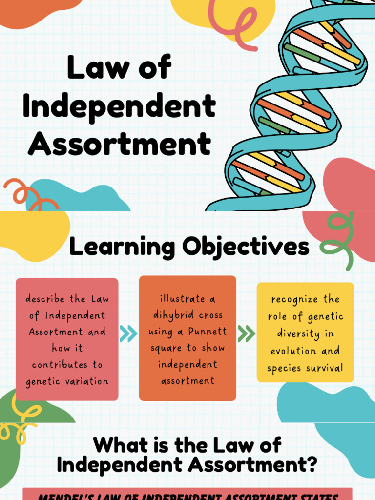Law of Independent Assortment | PDF