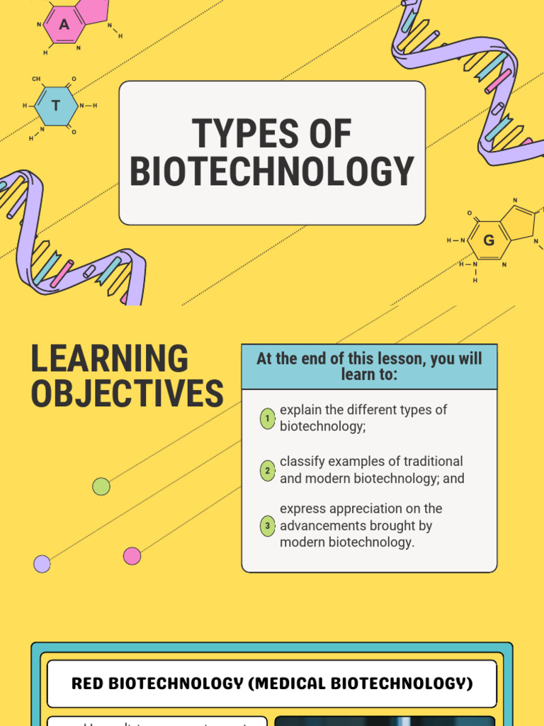 Types of Biotechnology and Traditional Vs Modern | PDF | Biotechnology ...