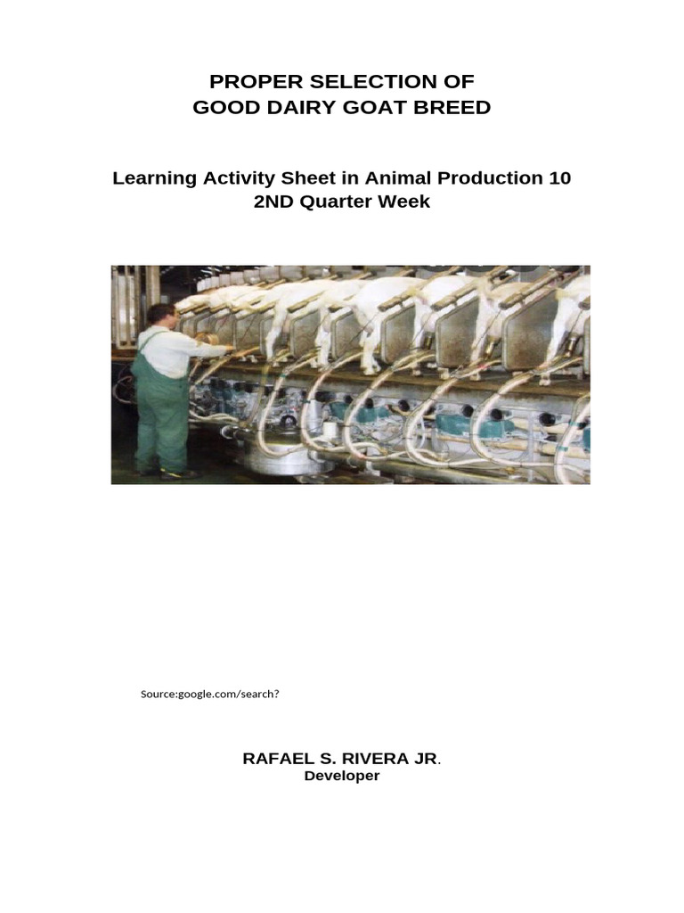 Proper Selection of Dairy Goat | PDF | Goat | Dairy
