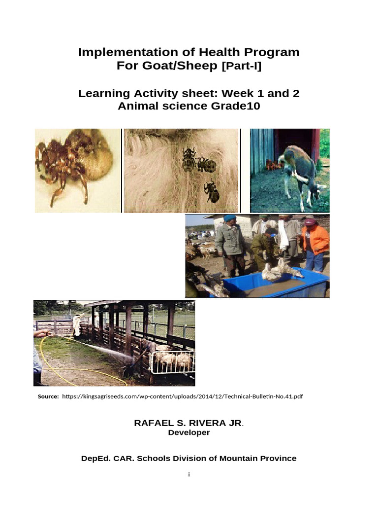 Activity Sheet External Parasites | PDF