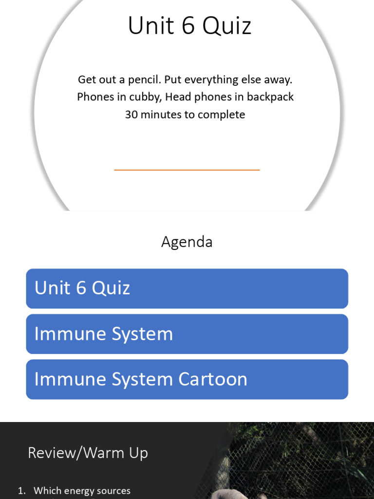 U6 Quiz - Begin Immune System | PDF | Immune System | Antibody