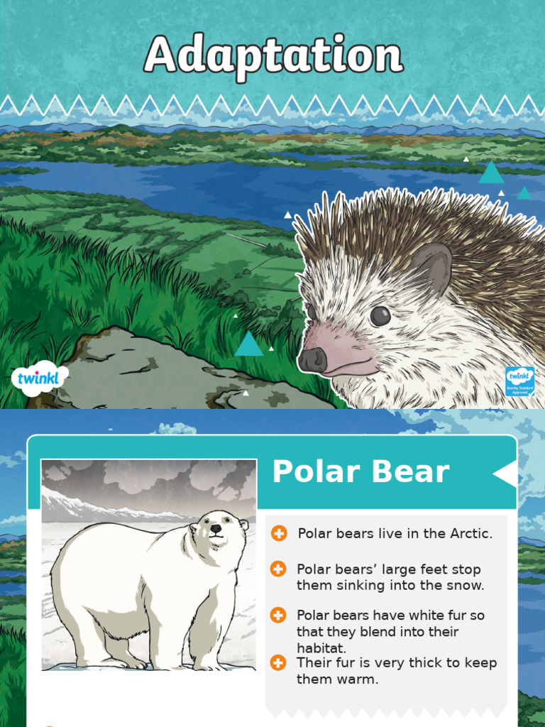 Adaptation PowerPoint | PDF | Frog | Elephant