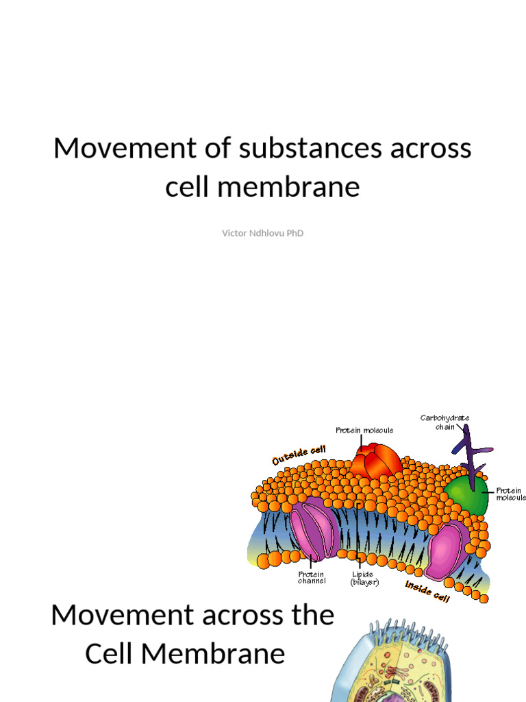Movement of substances across cell membrane | PDF | Cell Membrane ...