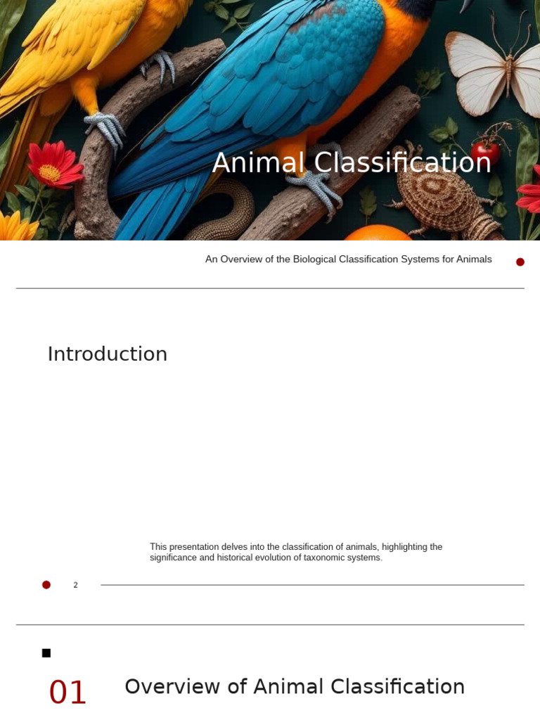 Animal Classification Overview and Methods | PDF | Taxonomy (Biology ...