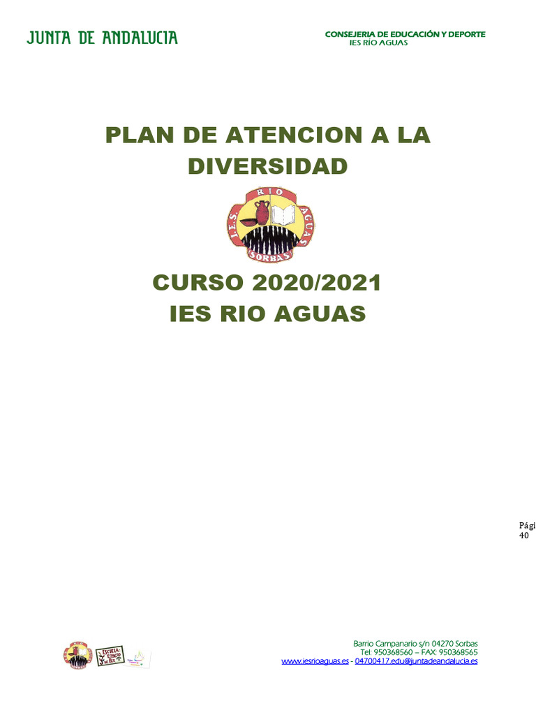 10 Plan de Atencion A La Diversidad 20 21 | PDF | Educación primaria | Evaluación