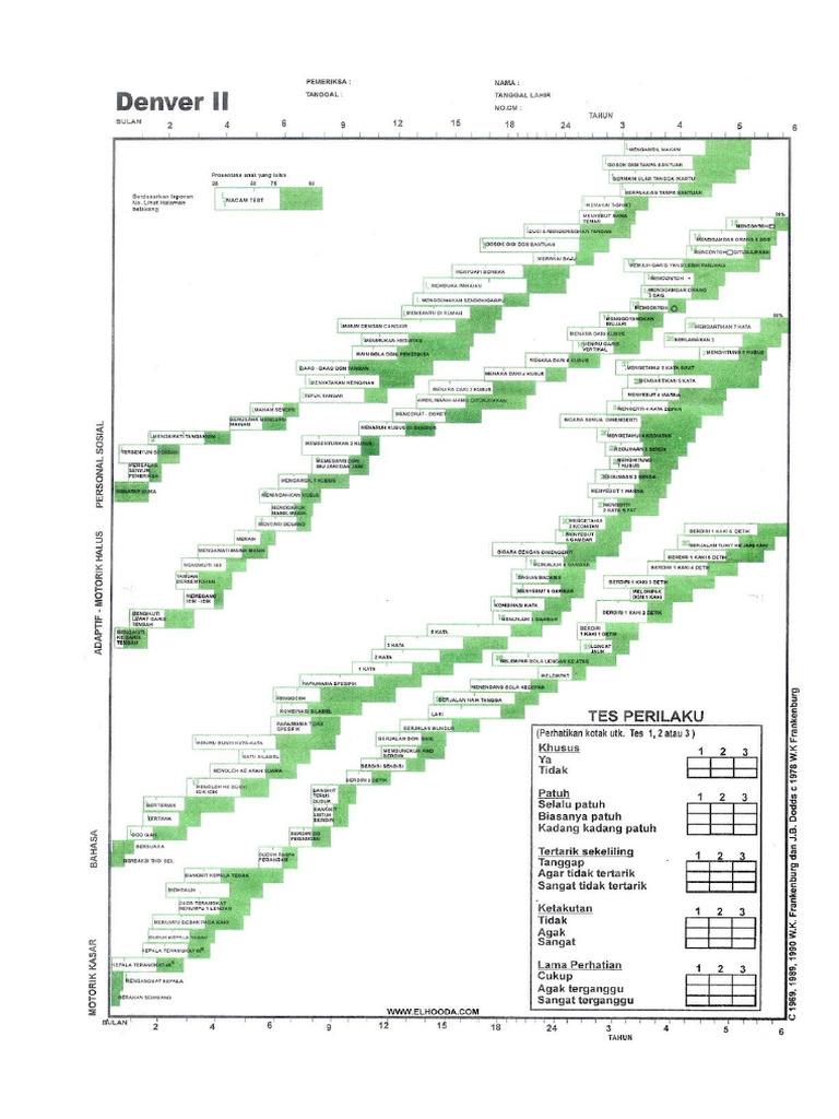 Formulir Denver II | PDF
