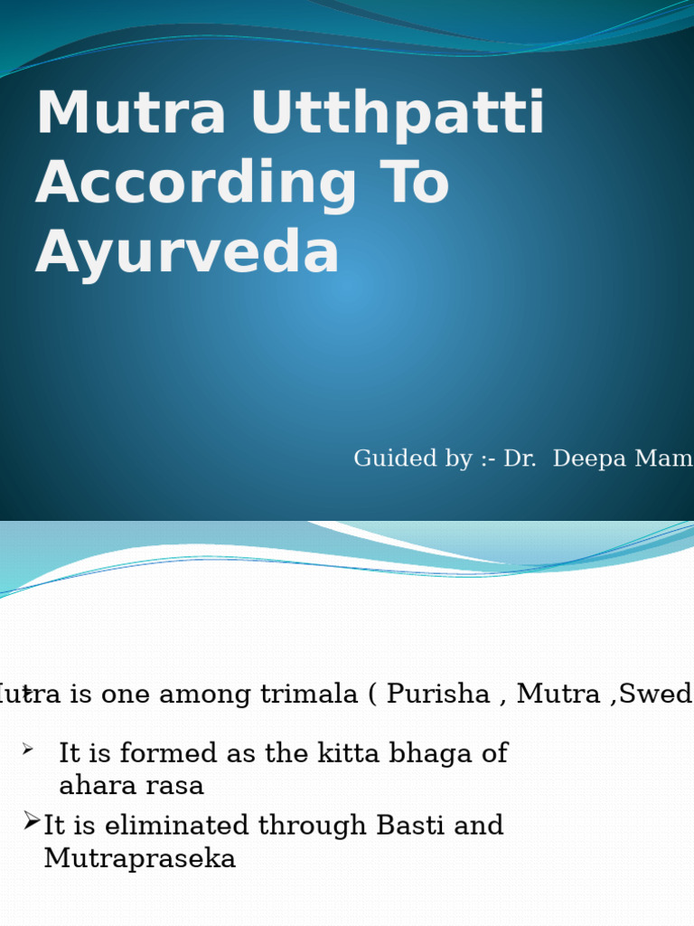 Understanding Mutra Formation in Ayurveda | PDF | Urinary System ...