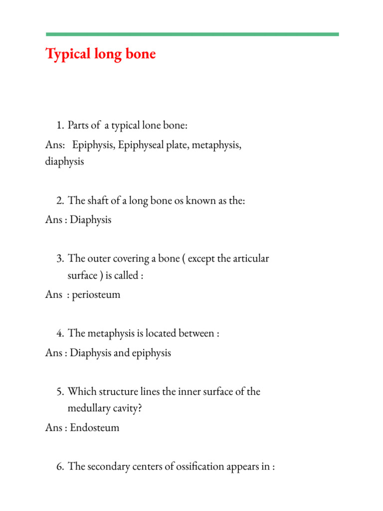 Long Bone | PDF