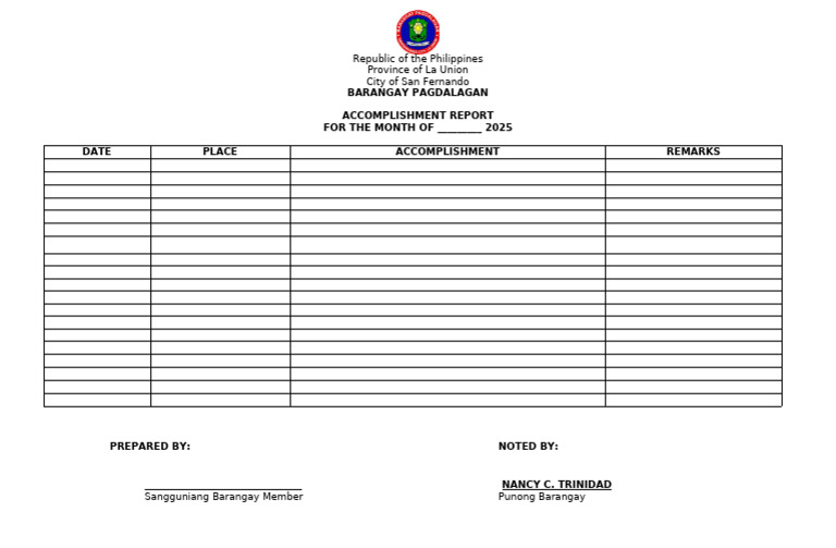 Council Accomplishment Report Format | PDF