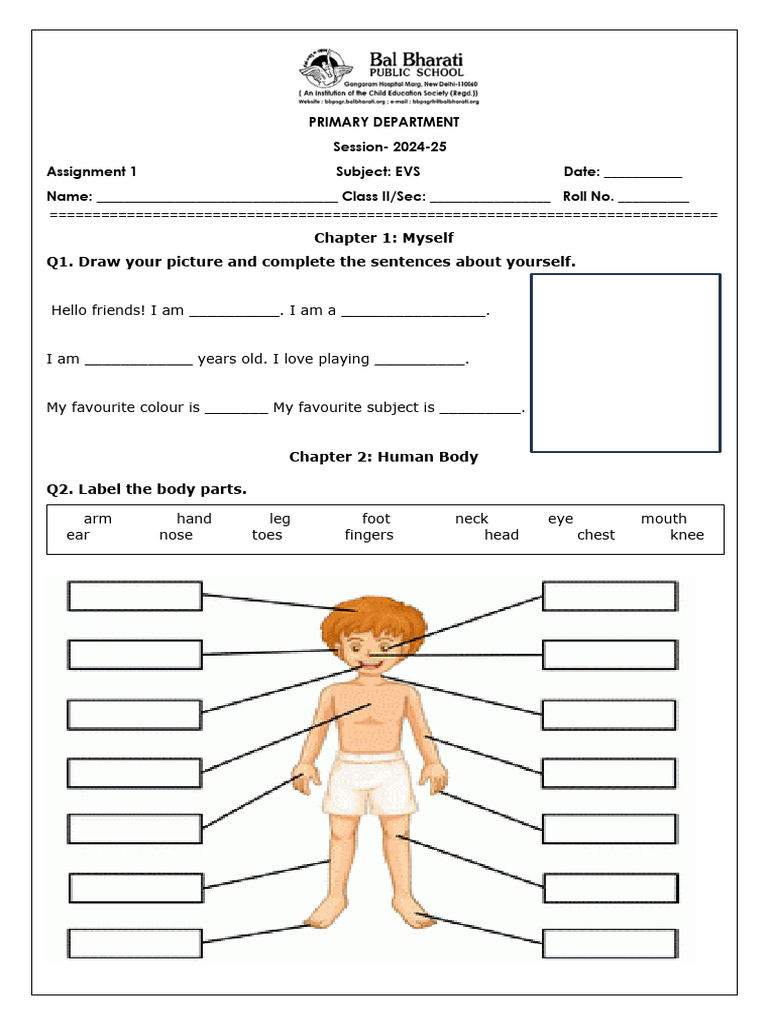 C2 - EVS Assignment 1 (2024-25) | PDF
