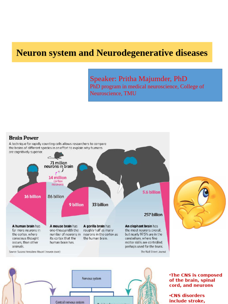 Class Neurodegenerative Diseases | PDF | Motor Neuron | Central Nervous ...