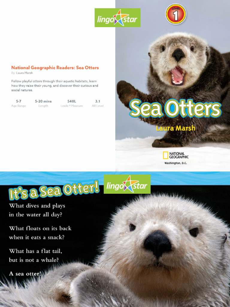 3.1 Sea Otters | PDF
