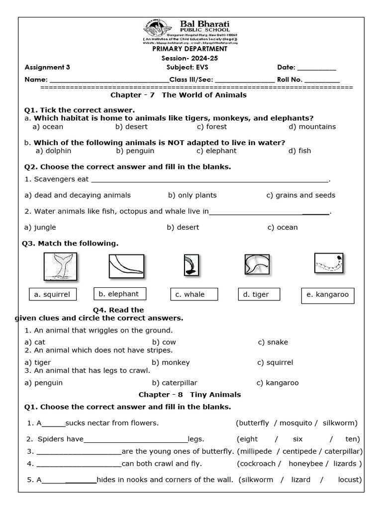 EVS Assignment 3 - Class III - TERM 1 | PDF | Insects | Organisms