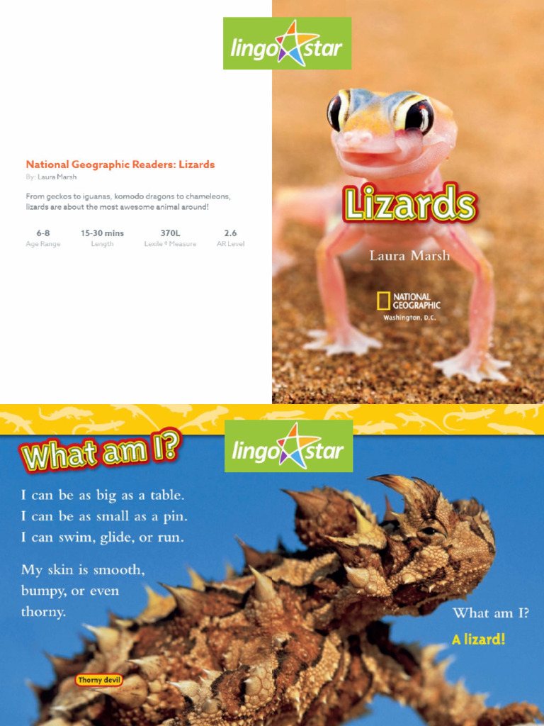 2.6 Lizards | PDF