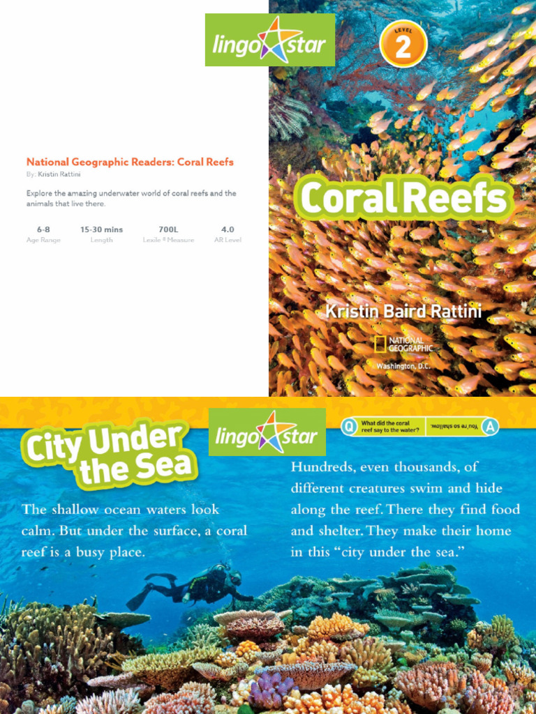 4.0 Coral Reefs | PDF