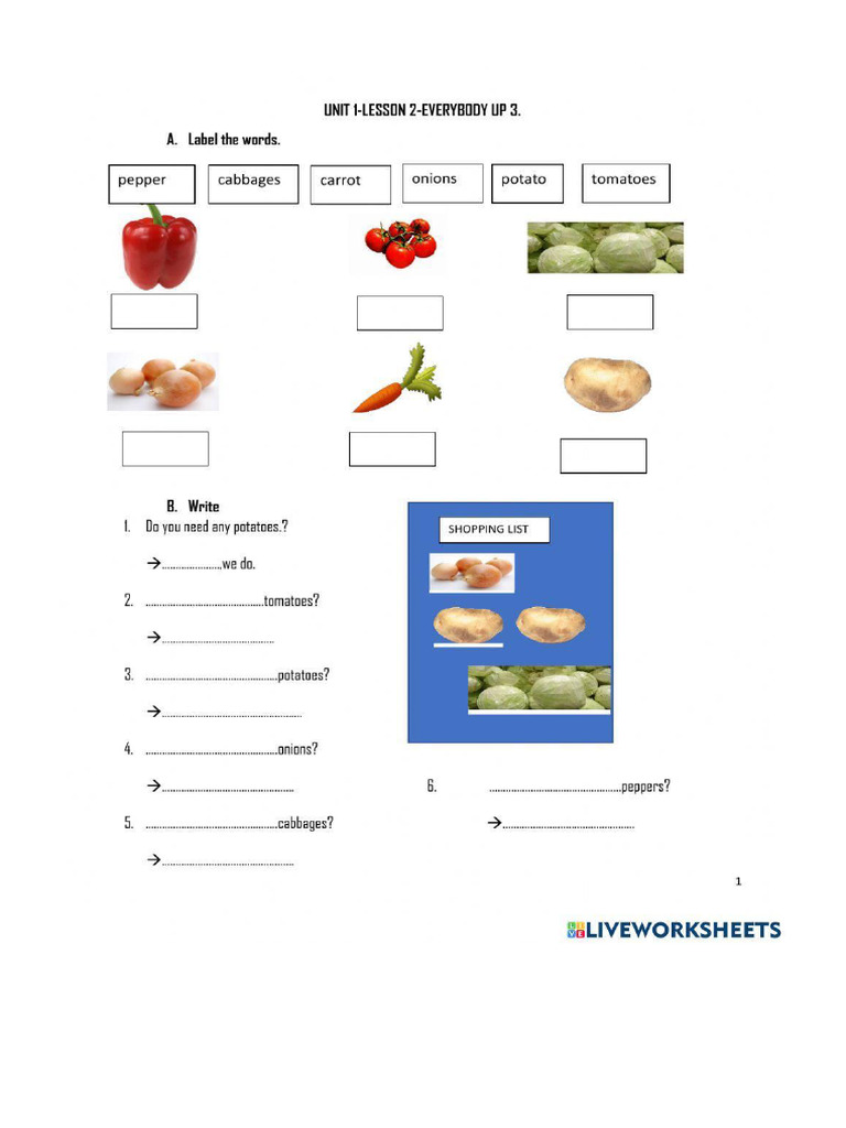 Worksheet - Unit 1 Lesson 2 | PDF