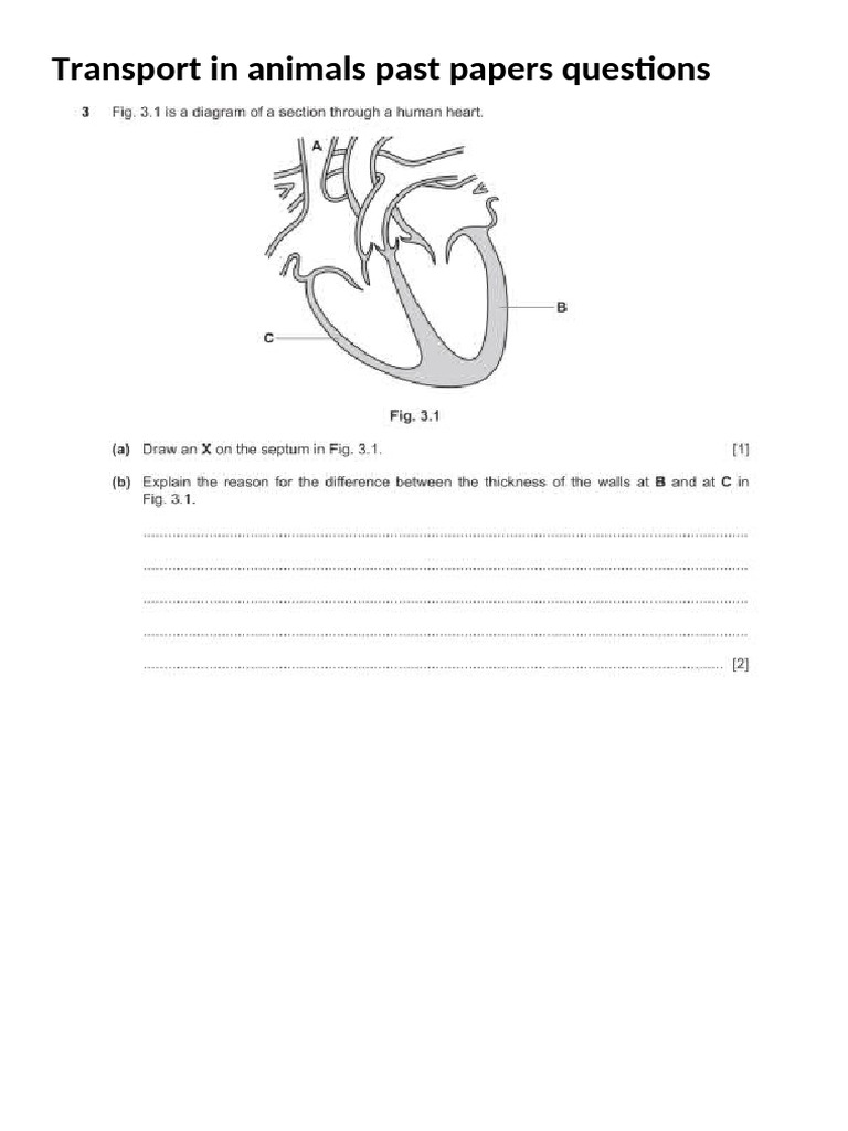 SYED MOHAMMED OSMAN - Transport in Animals Past Papers Questions | PDF