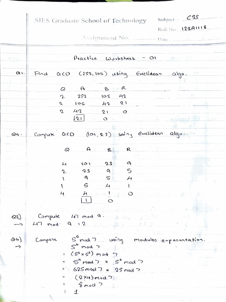 Prac Worksheet 1 118 | PDF