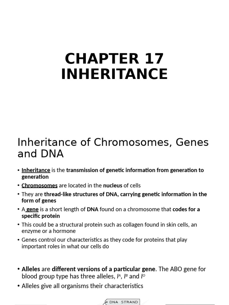 Chapter 17 Inheritance | PDF | Dominance (Genetics) | Translation (Biology)